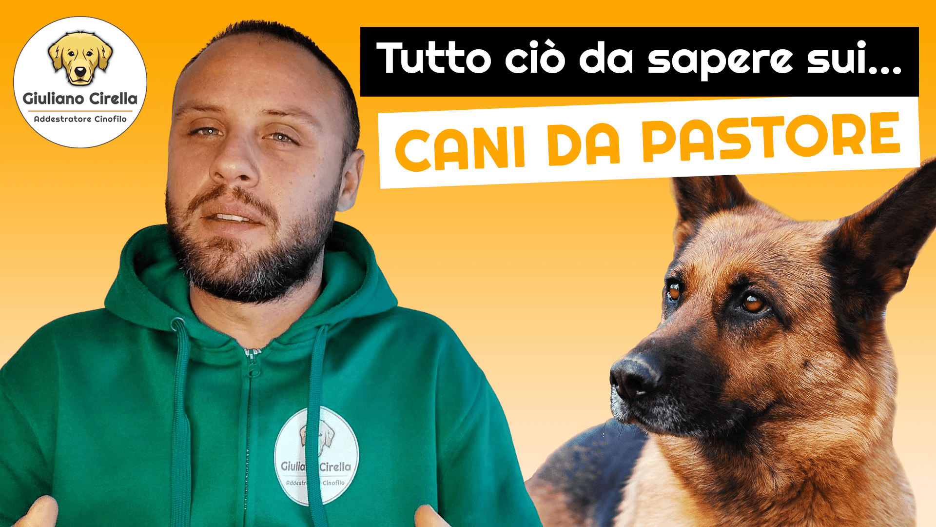 Cani da Pastore: Caratteristiche, Razze e Differenze